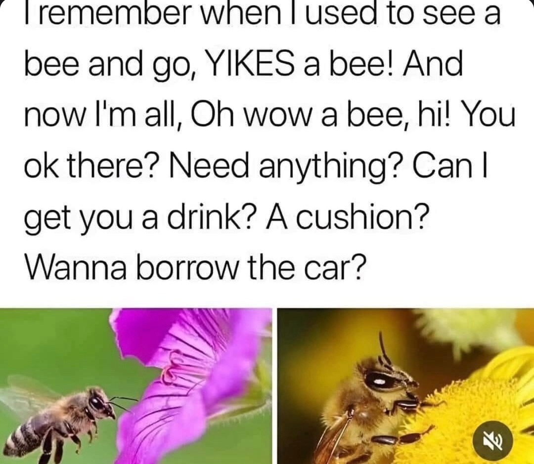 The best Bees memes :) Memedroid