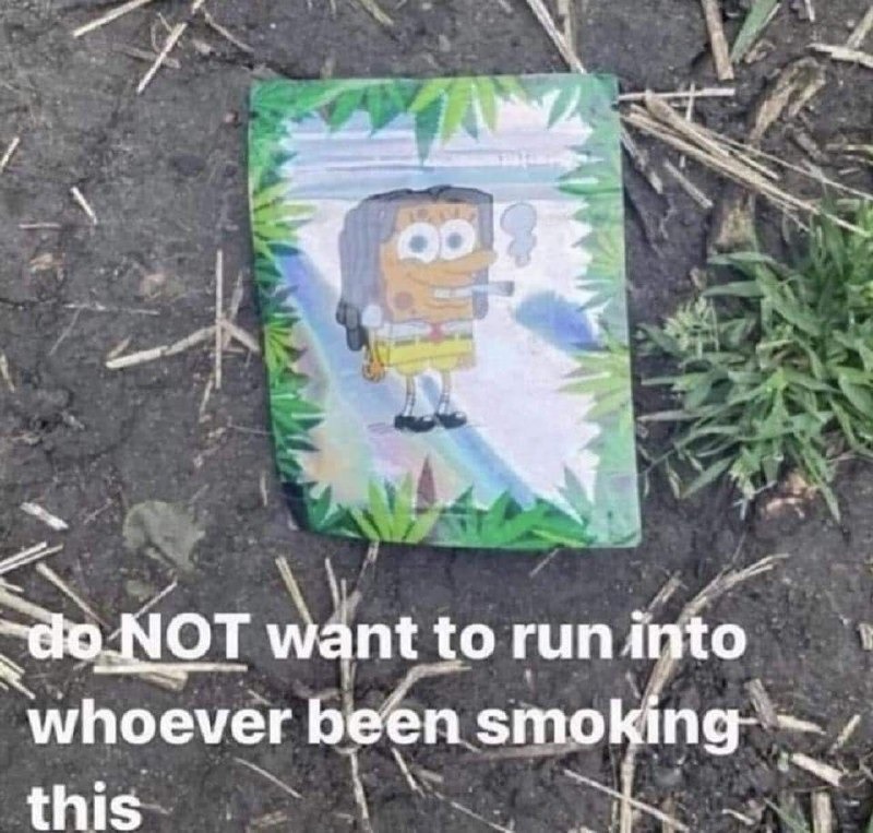 The best Smoking memes :) Memedroid