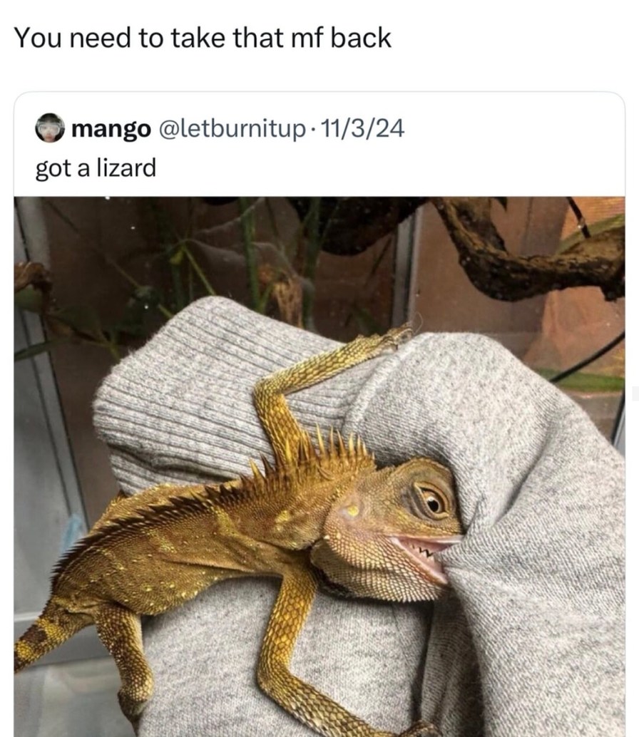 The best Lizard memes :) Memedroid