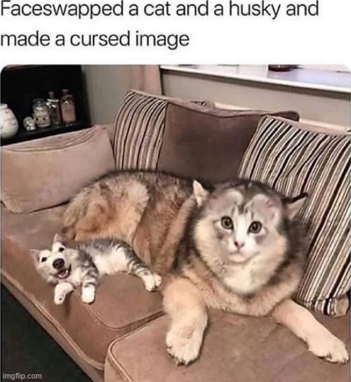 The best Cursed memes :) Memedroid