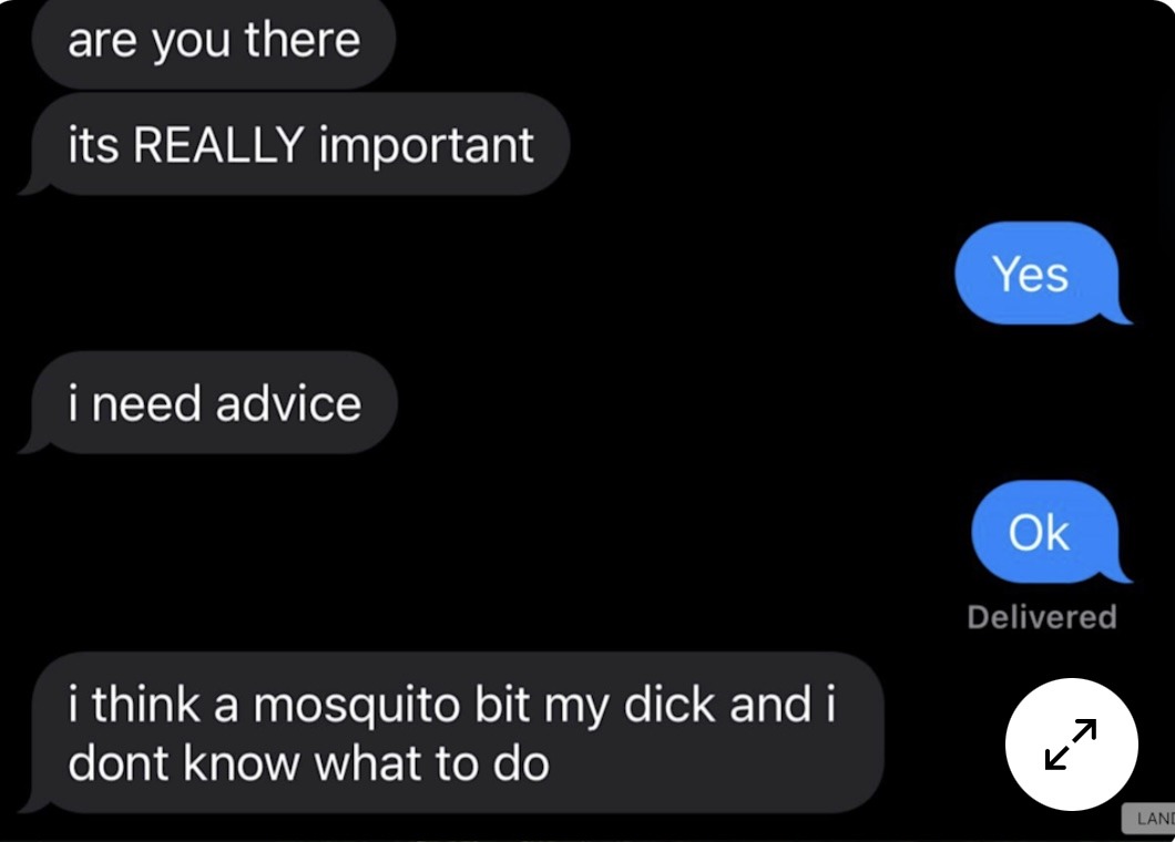 The best Tallywhacker memes :) Memedroid