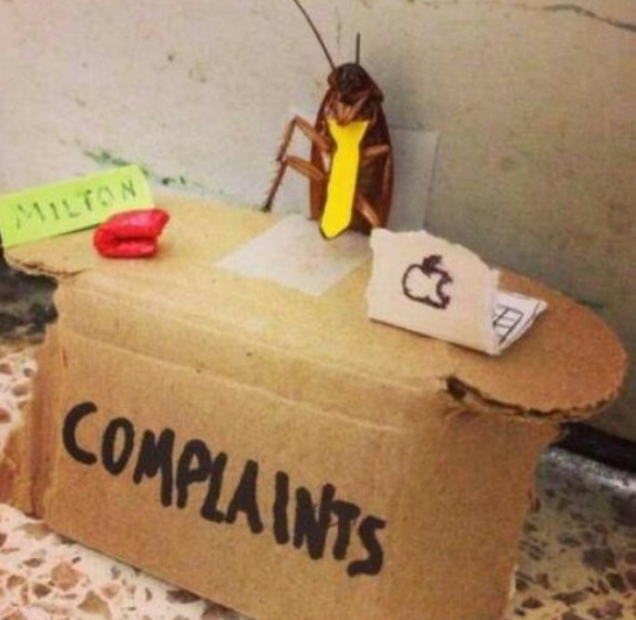 Saluden a Milton la cucaracha - Meme subido por cachorrilo :) Memedroid