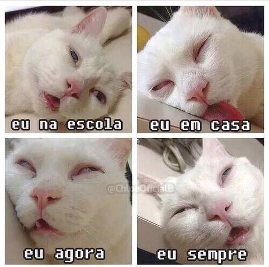 Eu - Meme by renatabuth :) Memedroid