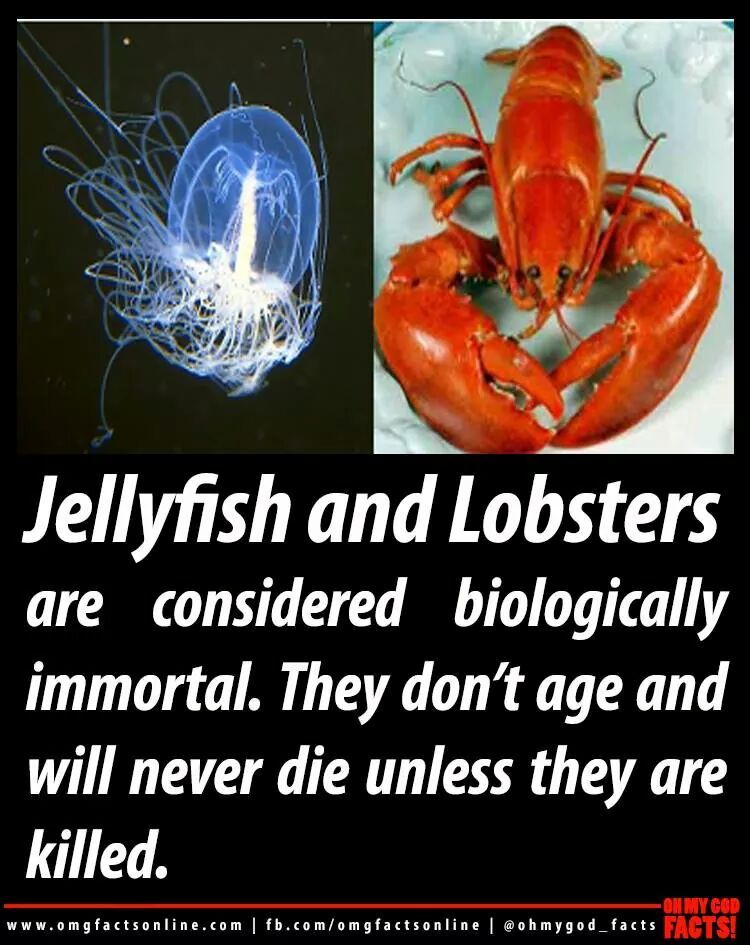 Well damn - Meme by astargazer317 :) Memedroid