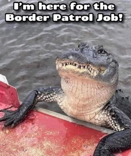 Memedroid - The best site to see, rate and share funny memes and pics!