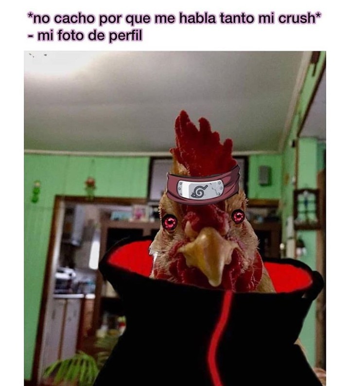Gallo Akatsuki - Meme subido por Cleo.Gata.bonita :) Memedroid