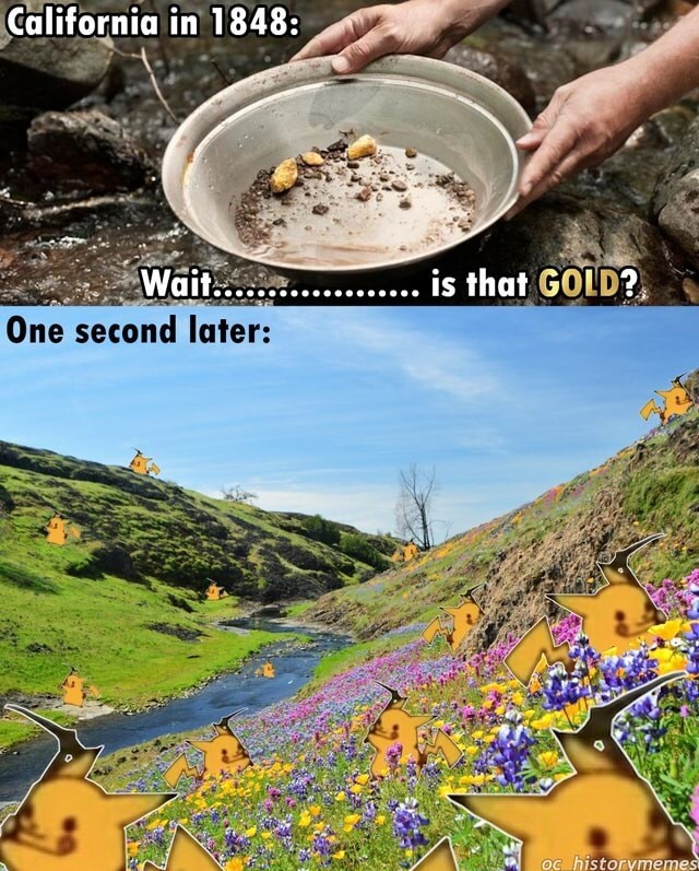 history bro - Meme by leMemeThief :) Memedroid