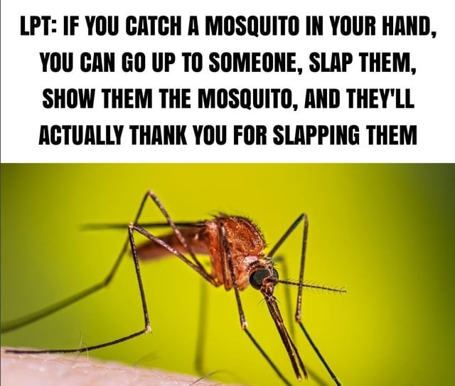 Slap Somebody Memes How Much I Wanna Slap Someone When THIS Happens