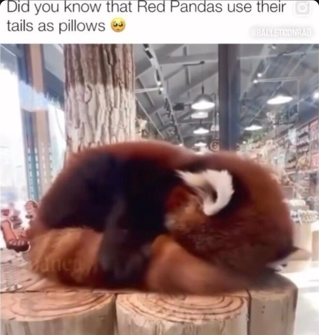 The best Sleeping memes :) Memedroid