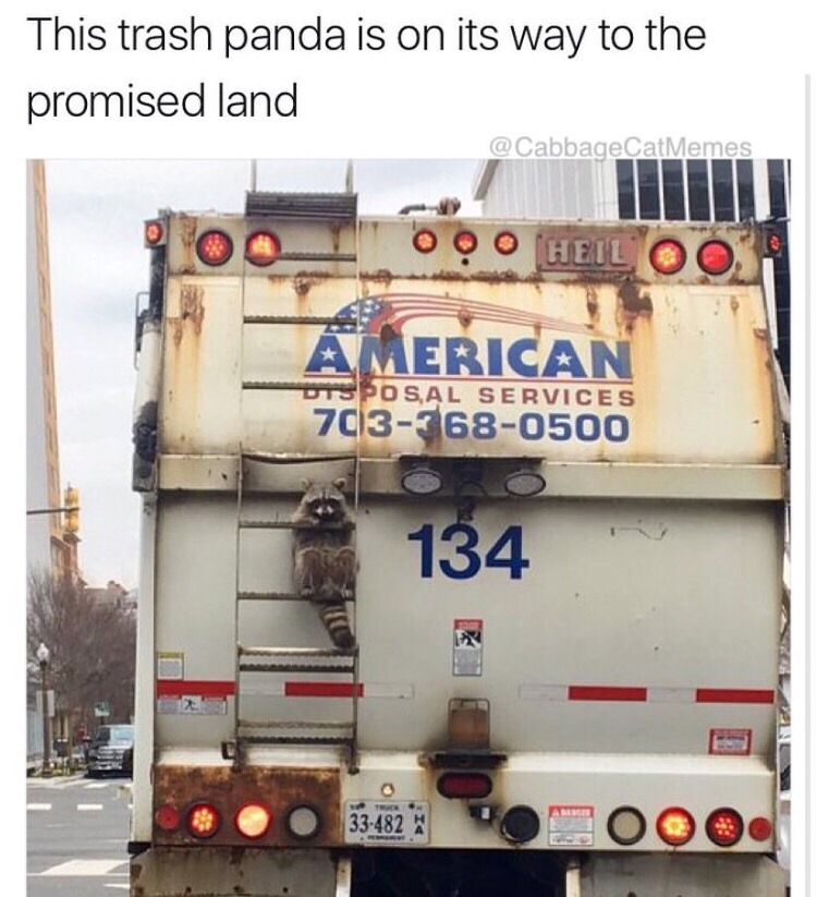 Living his best life - Meme subido por Alpharius :) Memedroid