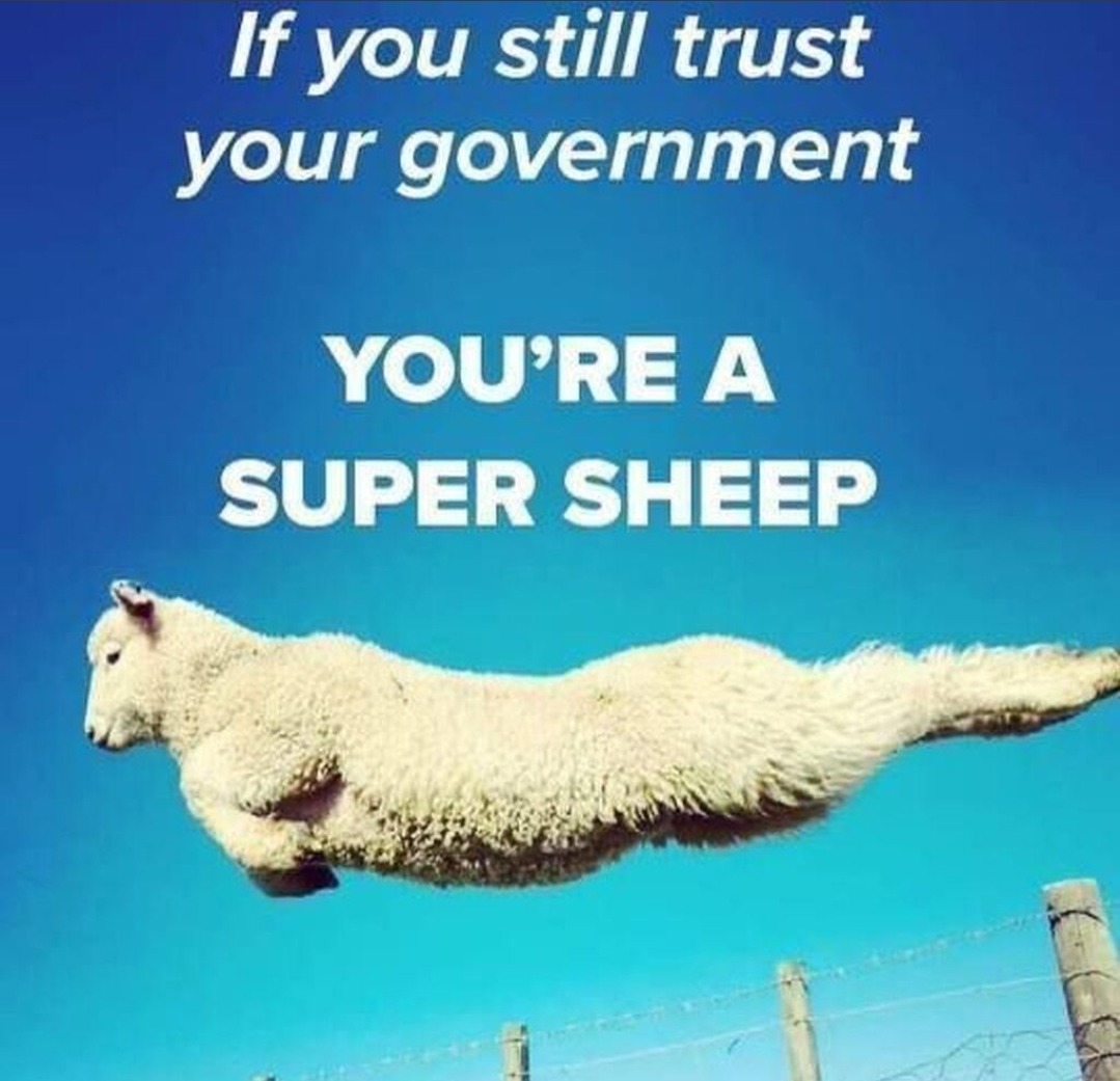 Latest memes / New memes :) Memedroid