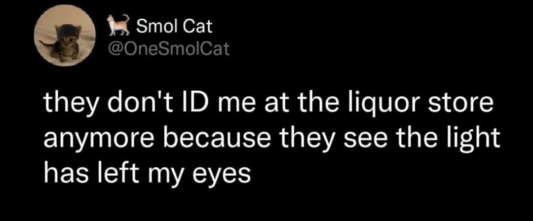 The best cat memes