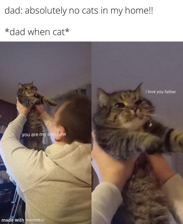 The Latest Memes :) Memedroid