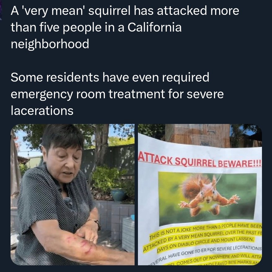 The best Bite memes :) Memedroid