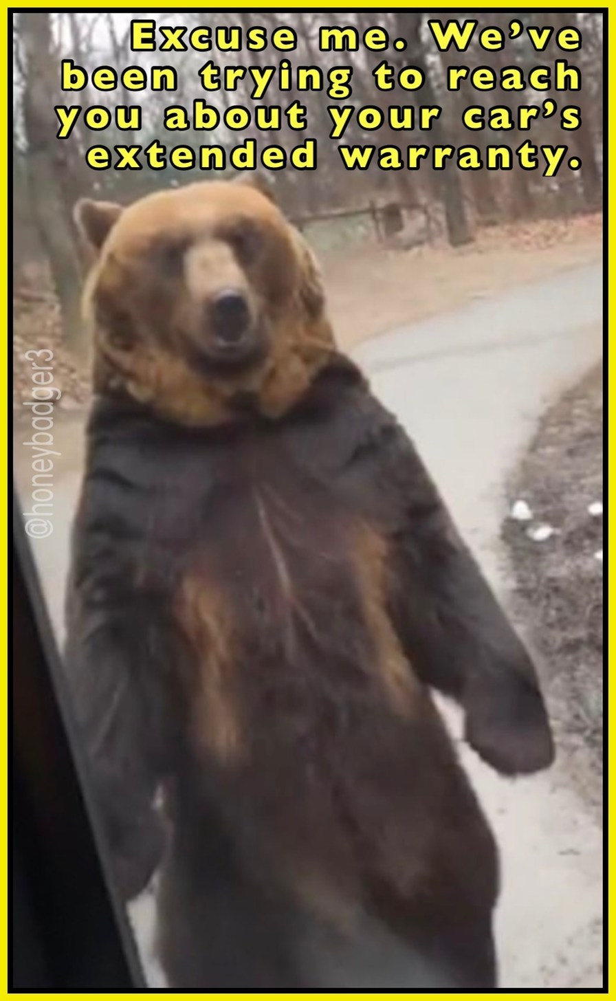 This - Meme by Brainlessguy337 :) Memedroid