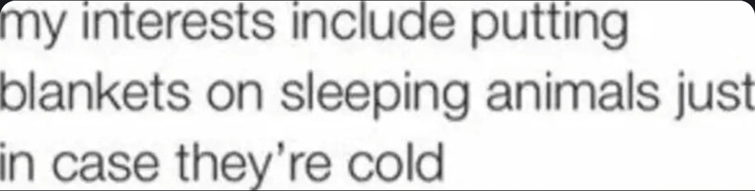 Latest memes / New memes :) Memedroid