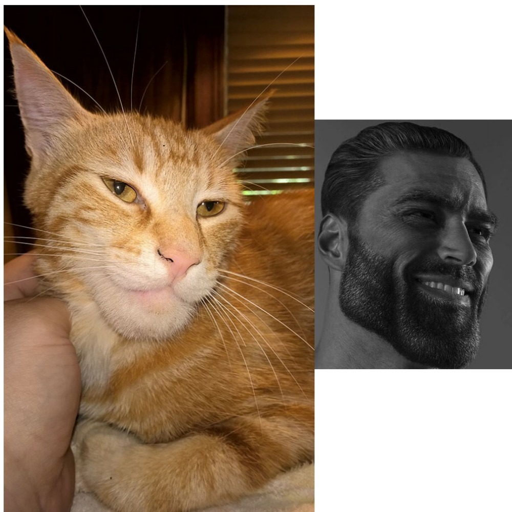 Pipi - Meme subido por JonhKhee :) Memedroid