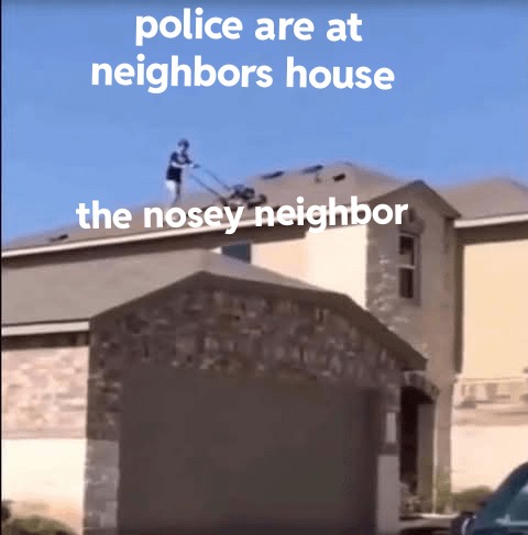 The best Neighbor memes :) Memedroid