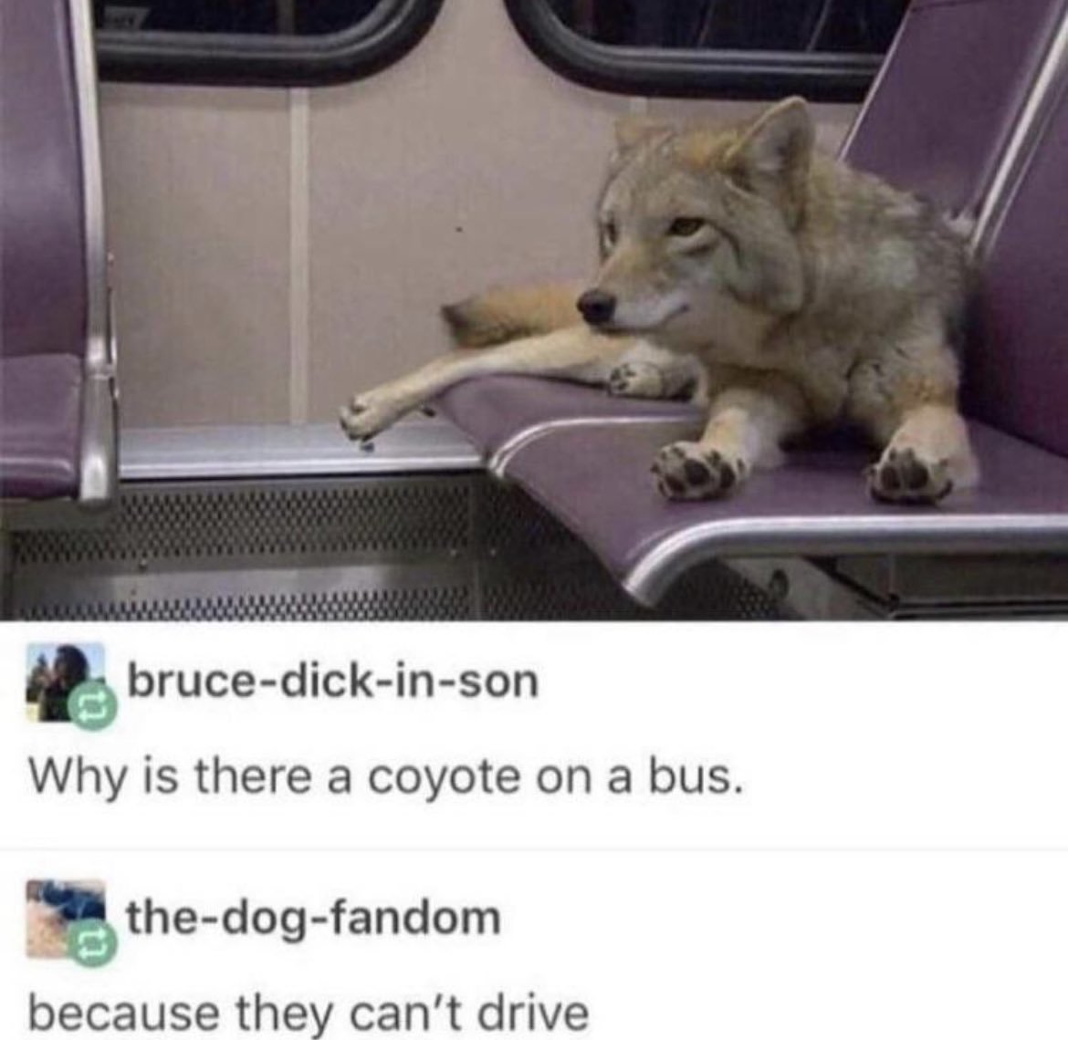 Make sens... - Meme by IamTurtle :) Memedroid