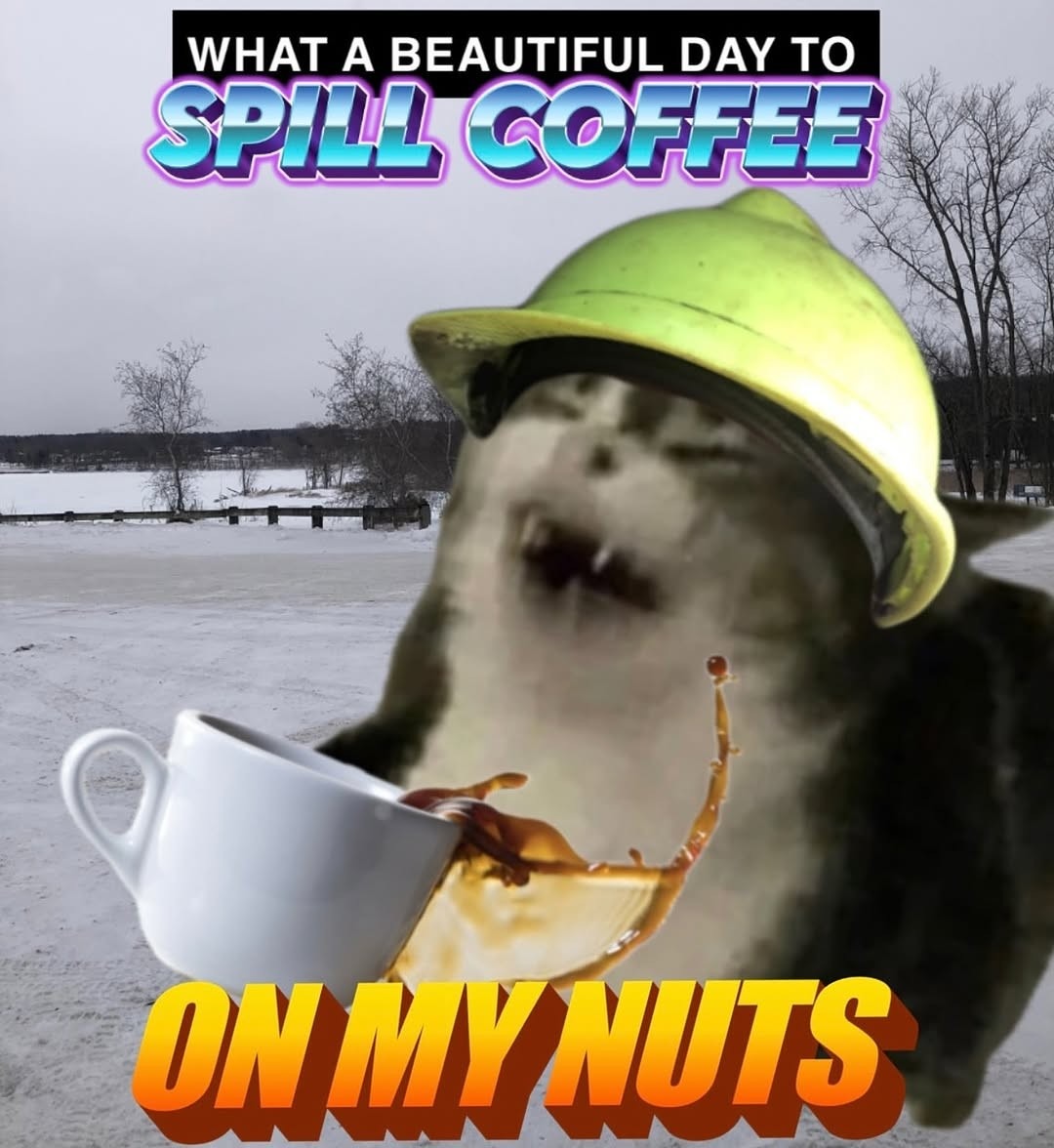 The Latest Memes :) Memedroid