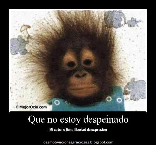 Mono despeinado - Meme subido por Antonioproxs :) Memedroid