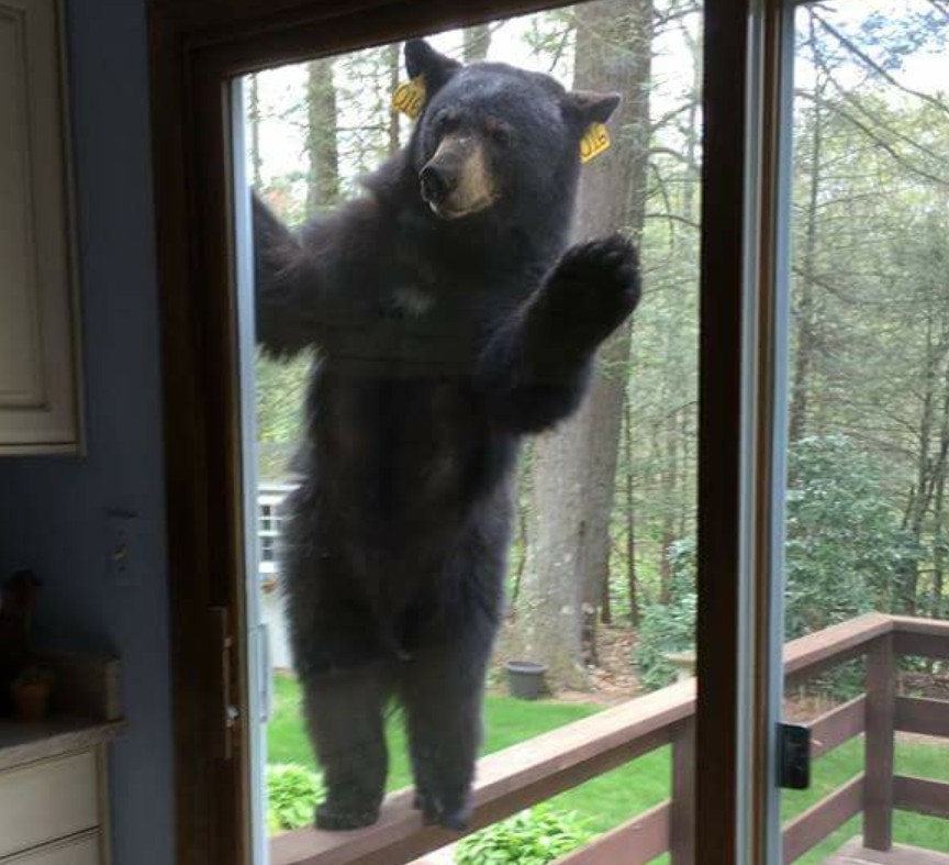 Hey there - Meme subido por Tr1ckyr1cky :) Memedroid