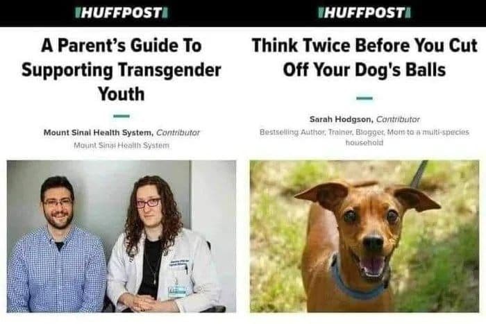 Huffpost Memes Funny Tweets