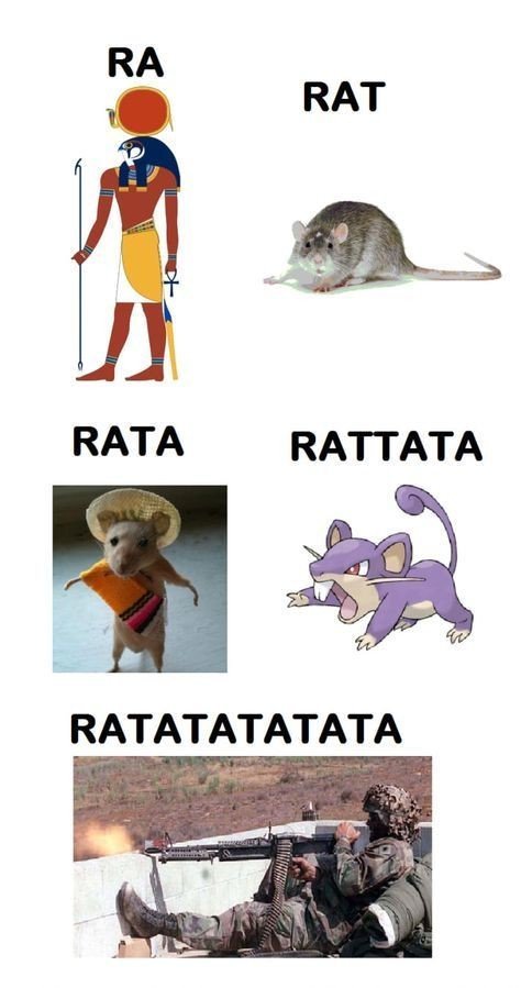 Top memes de rata en español :) Memedroid