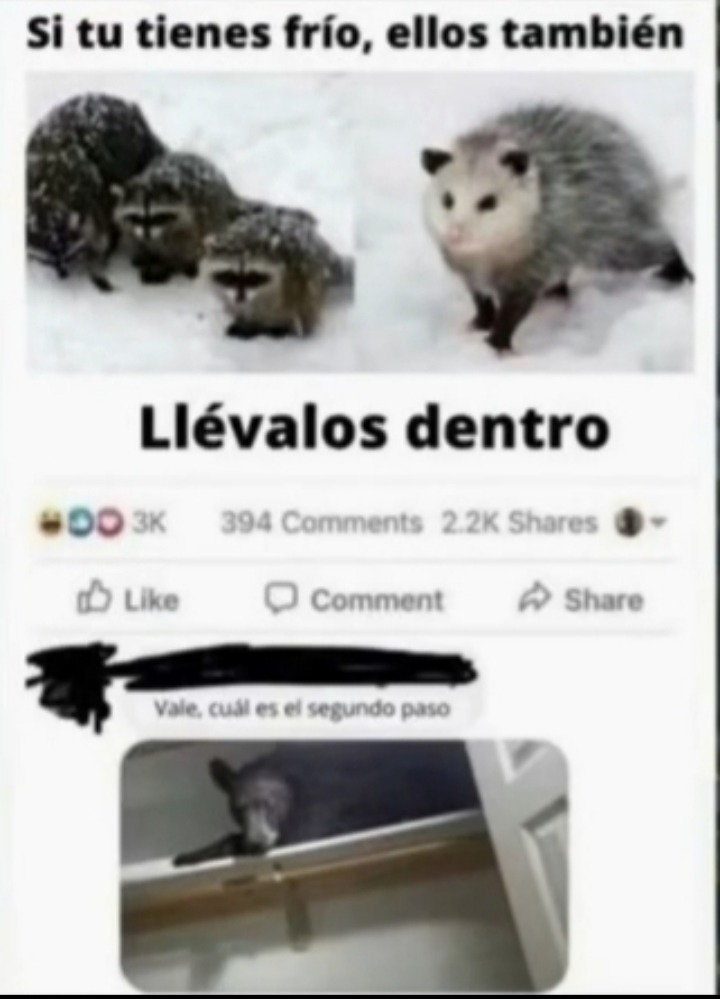 Top memes de Oso en español :) Memedroid