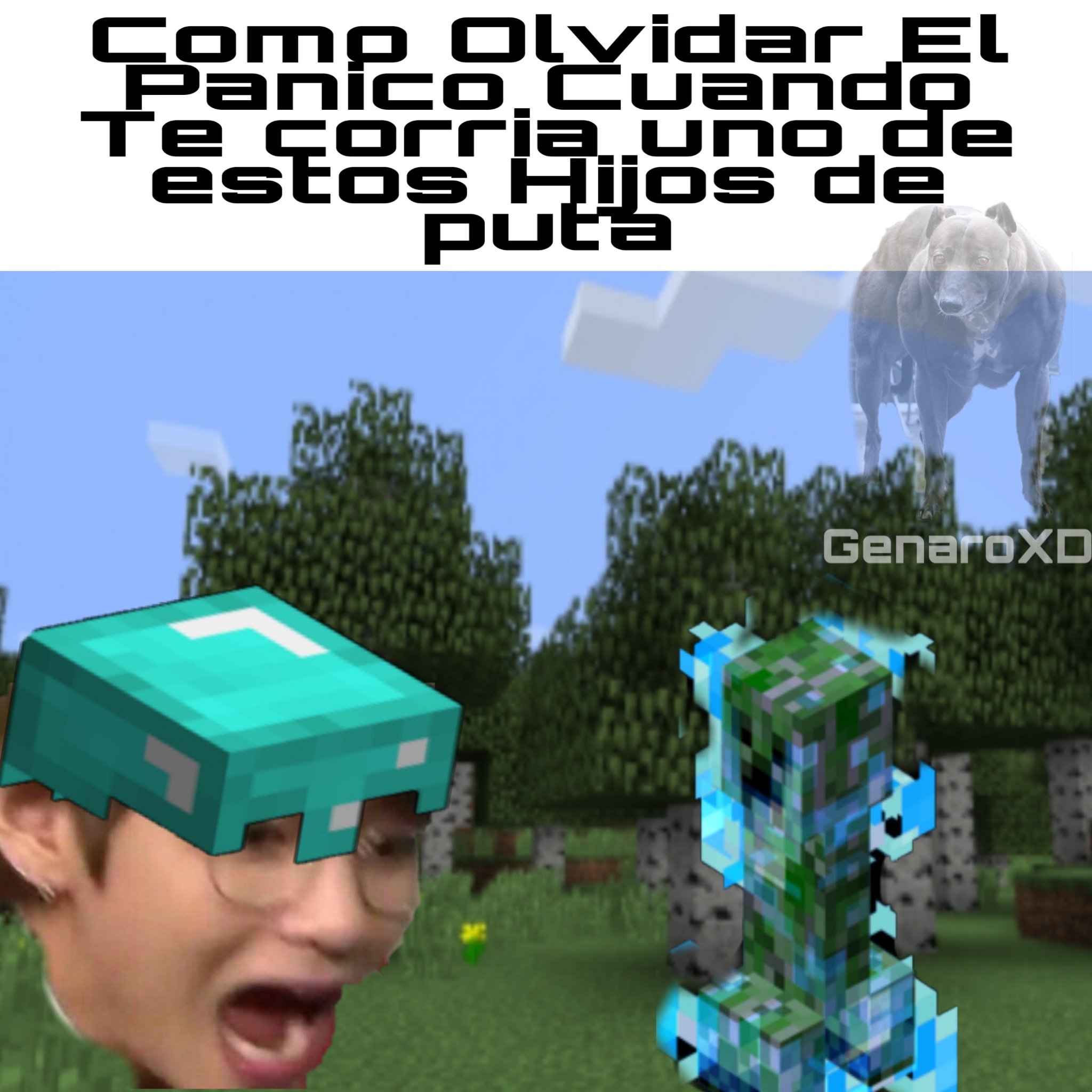 Donde esta el gato cuando lo necesitas - Meme subido por GenaroXD248 ...