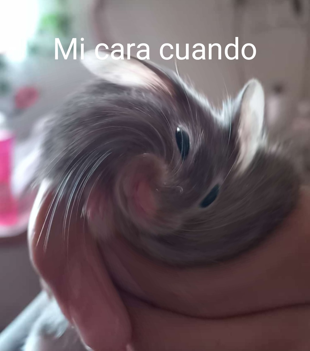 Los Últimos Memes :) Memedroid