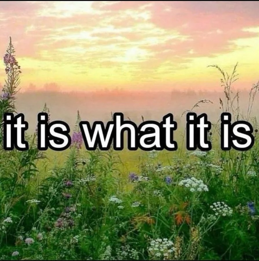 The Latest Memes :) Memedroid