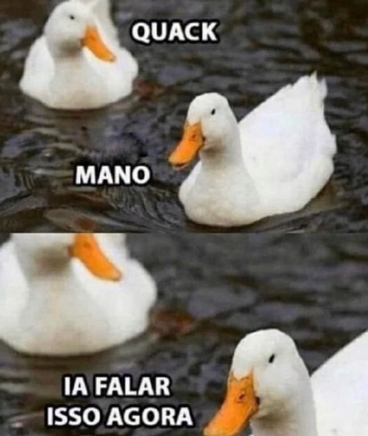 The Latest Memes :) Memedroid