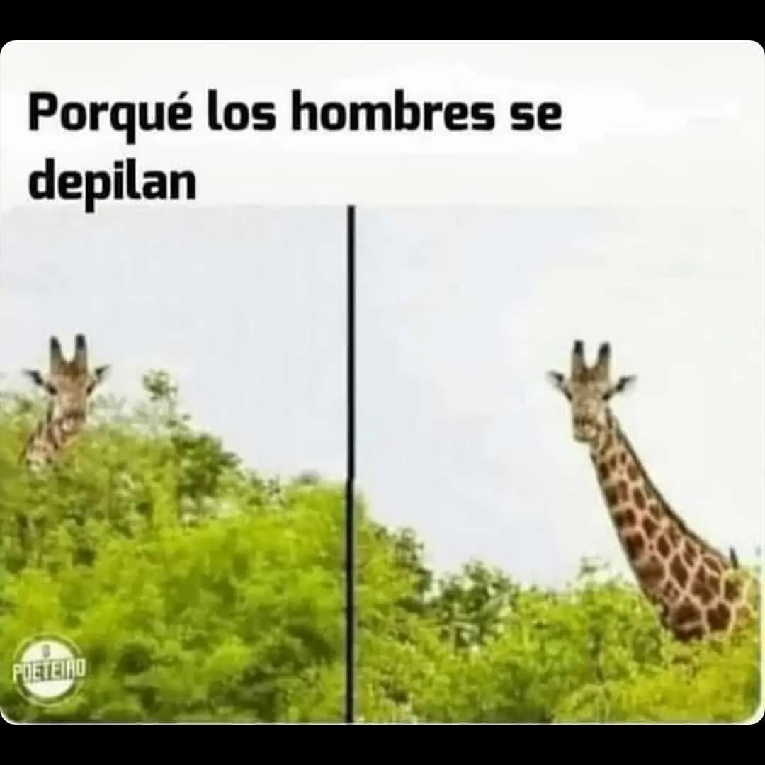 Si. - Meme subido por Alex_Durden :) Memedroid