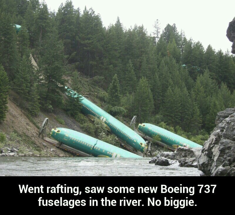 Boeing 737 - Meme by soydolphin :) Memedroid
