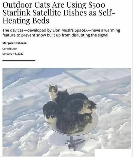 The best Starlink memes :) Memedroid