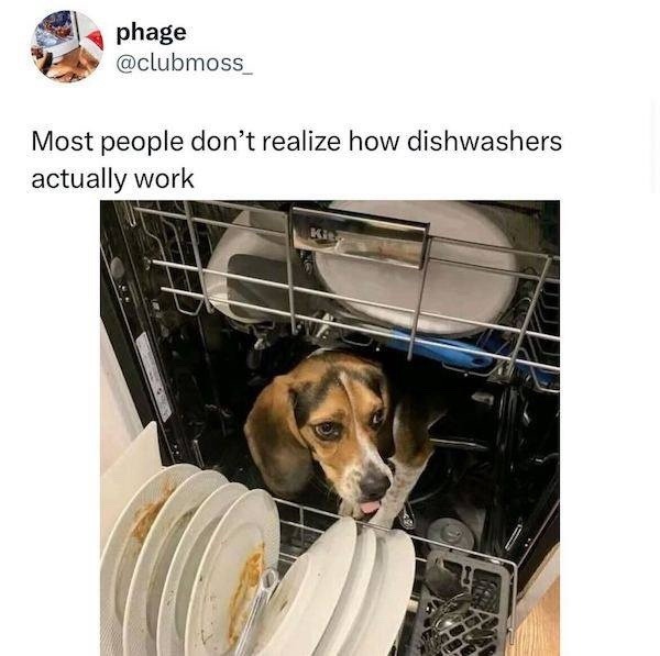 The best Dishwasher memes :) Memedroid