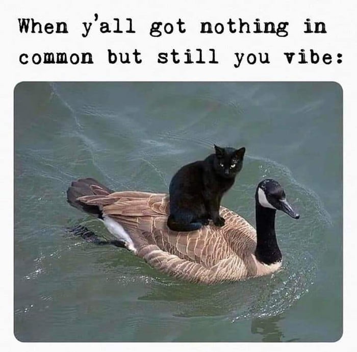 Chilling out - Meme by schizoidman :) Memedroid