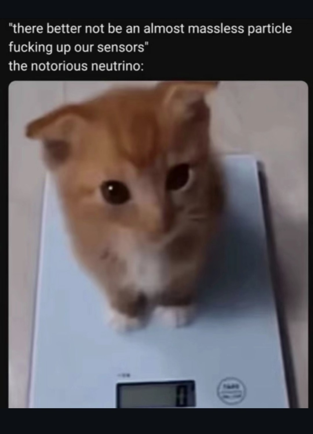 The best Massless memes :) Memedroid