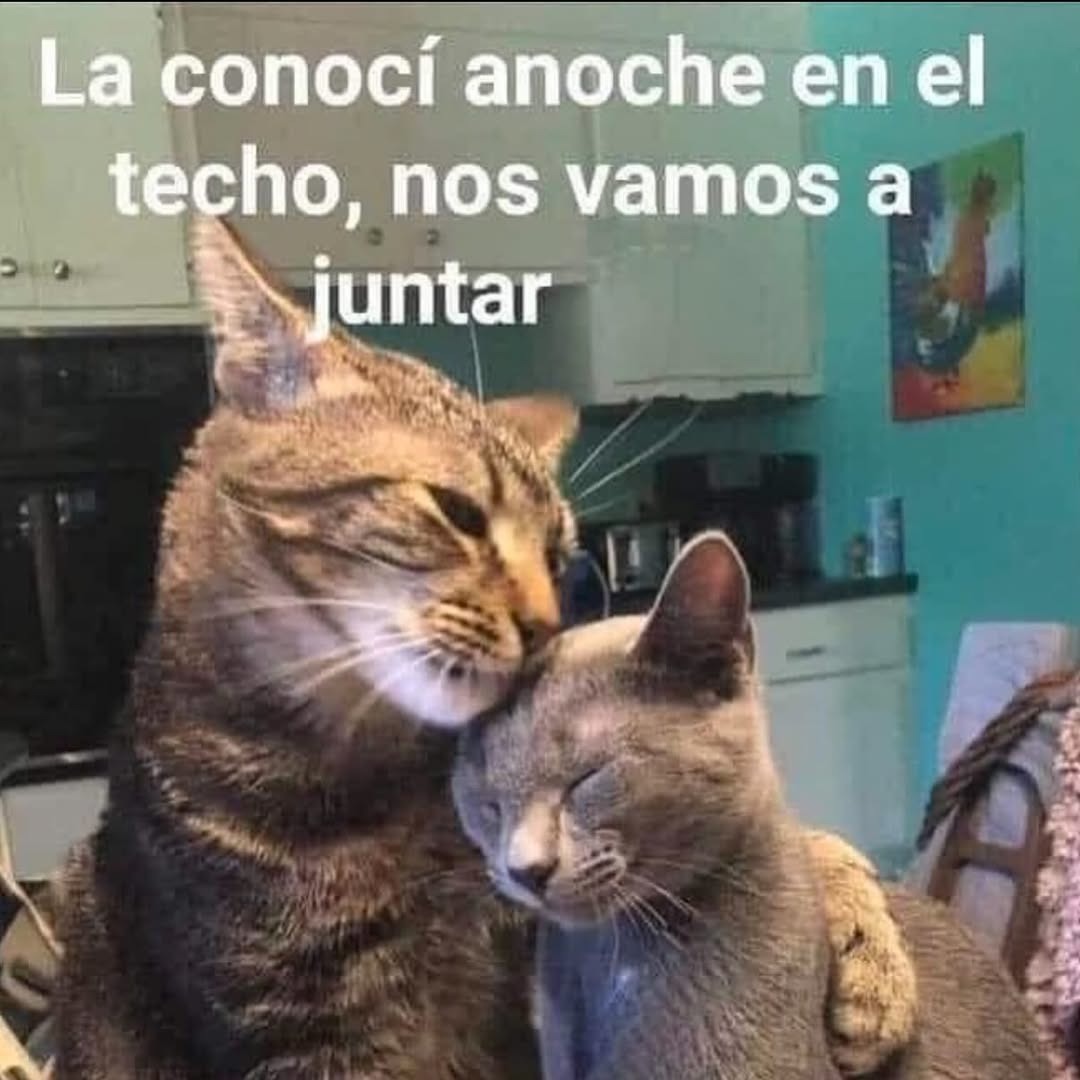 Los Últimos Memes :) Memedroid