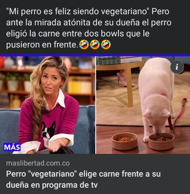 Pasmada - Meme by Cark :) Memedroid