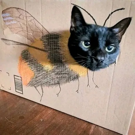 Top memes de Abejas en español :) Memedroid