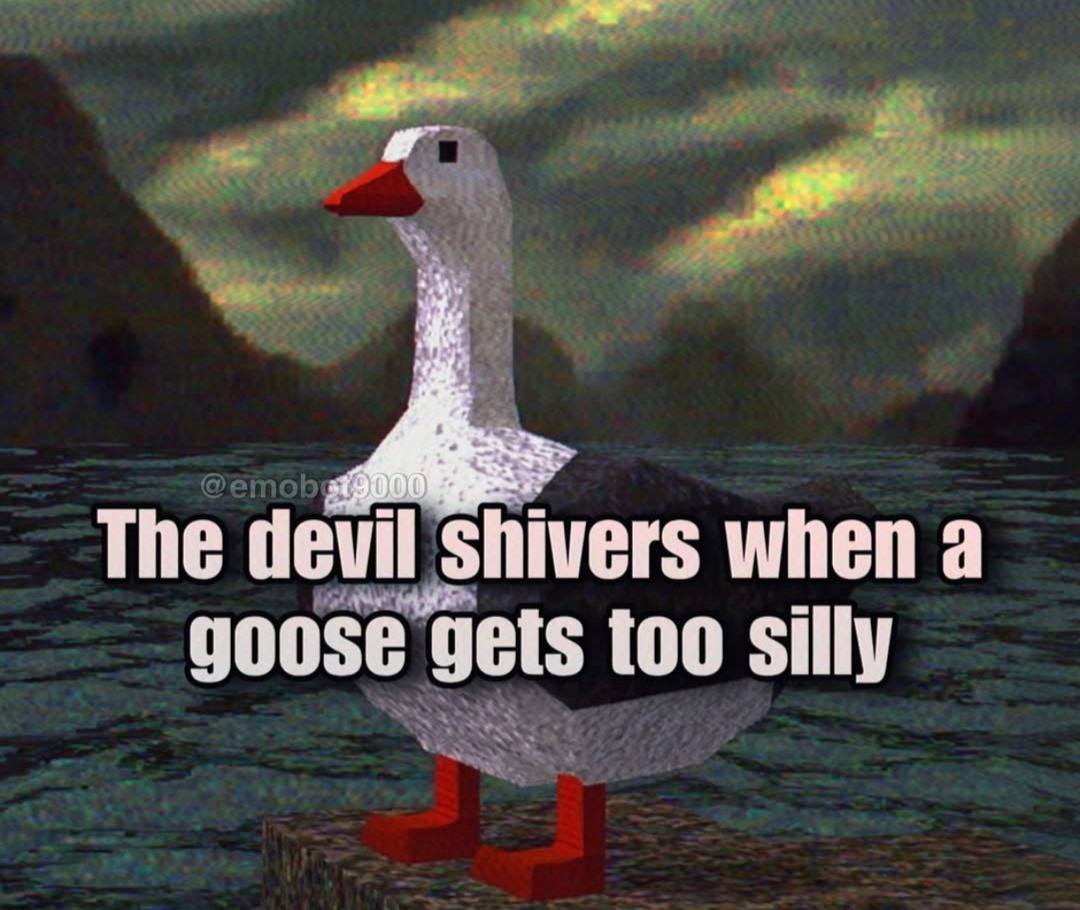 The best Goose memes :) Memedroid