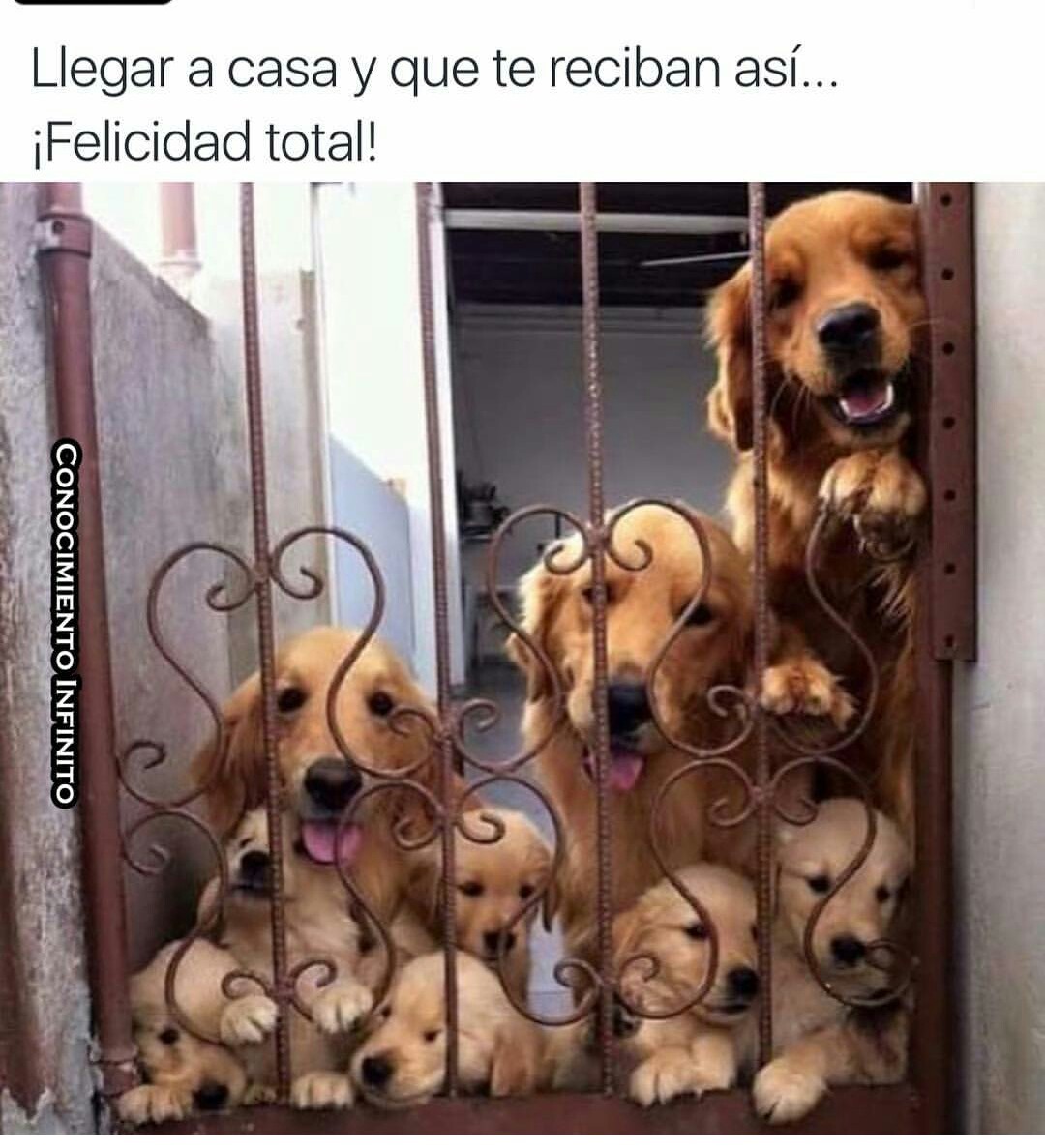 Feliz - Meme subido por rubebthanatos :) Memedroid