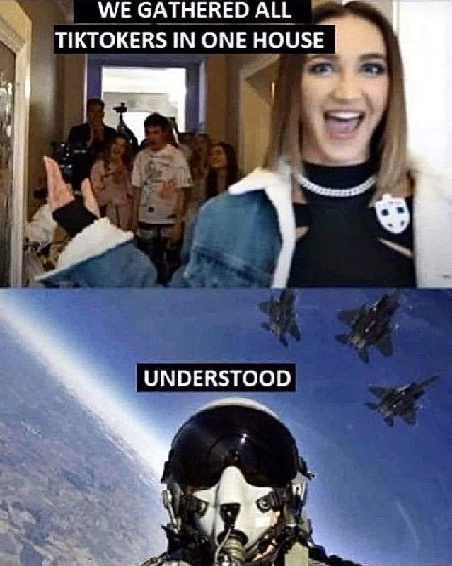 The best Tik Tok Memes - Memedroid