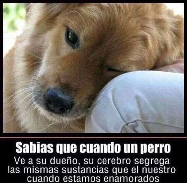 no lo sabia - Meme subido por m.sanz.r36 :) Memedroid