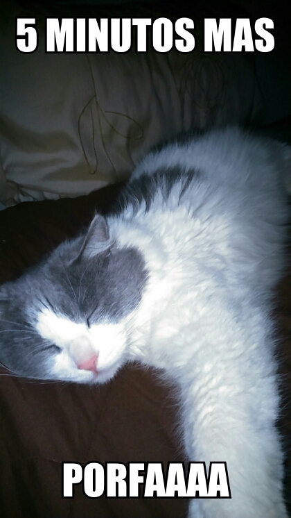 mateoooo :) Memedroid