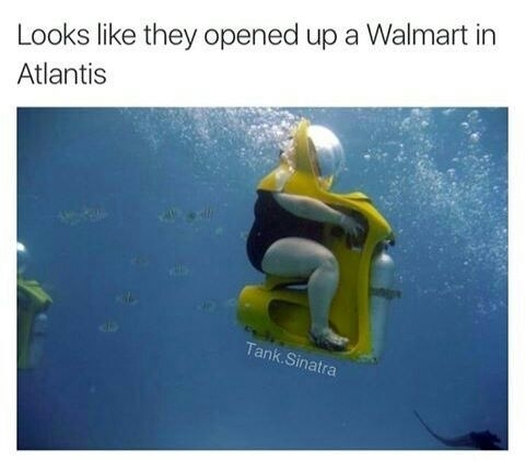 New branch - Meme by Tweet :) Memedroid