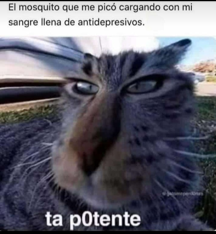 Jej siempre - Meme subido por Ruka123 :) Memedroid