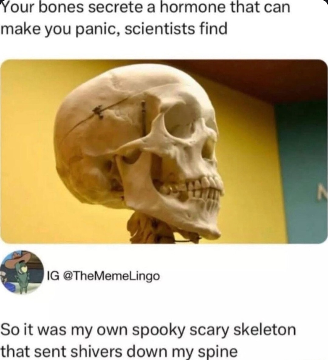 The best Panic memes :) Memedroid